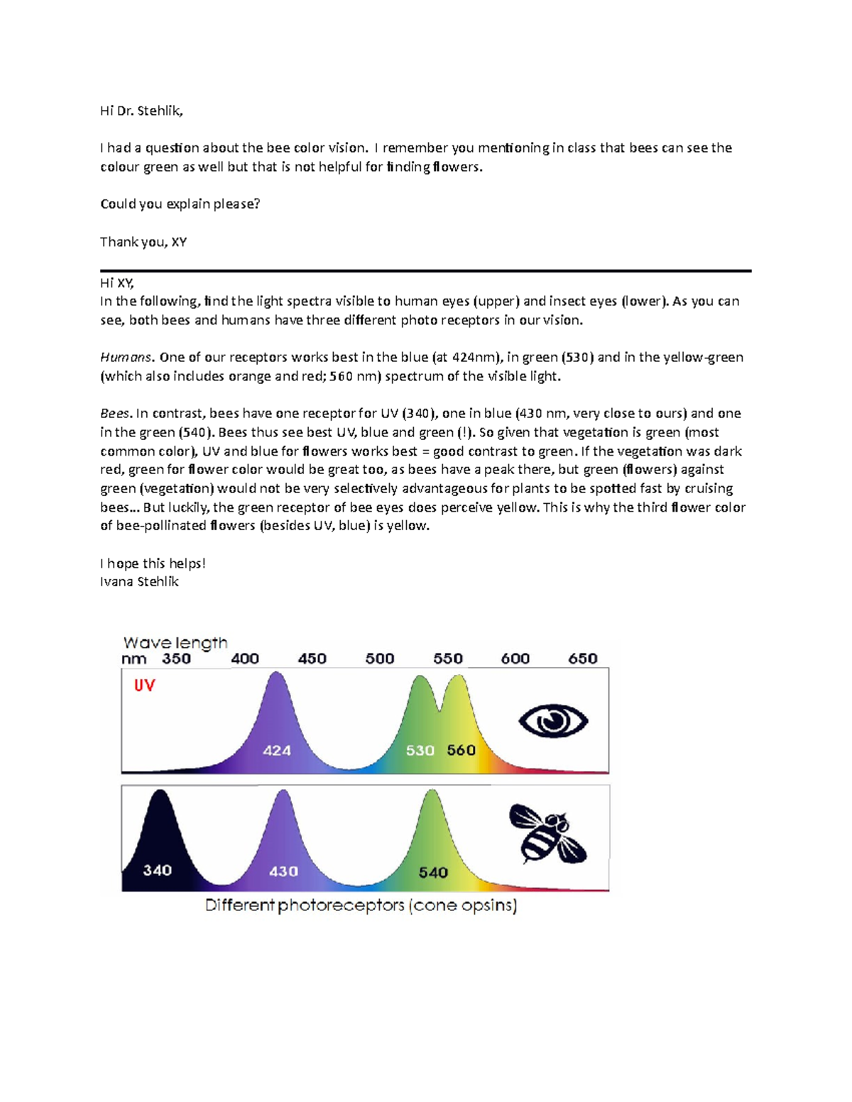 09 bee color vision - Lecture notes 3 - Hi Dr. Stehlik, I had a ...