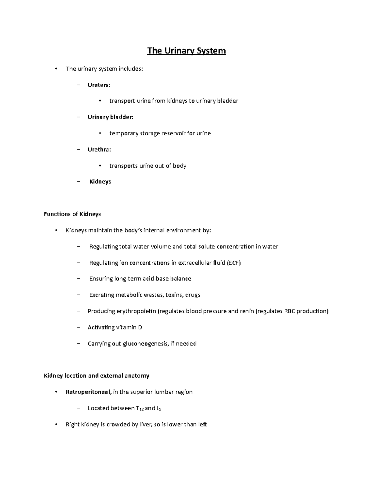 The Urinary System (part 1) - The Urinary System The urinary system ...