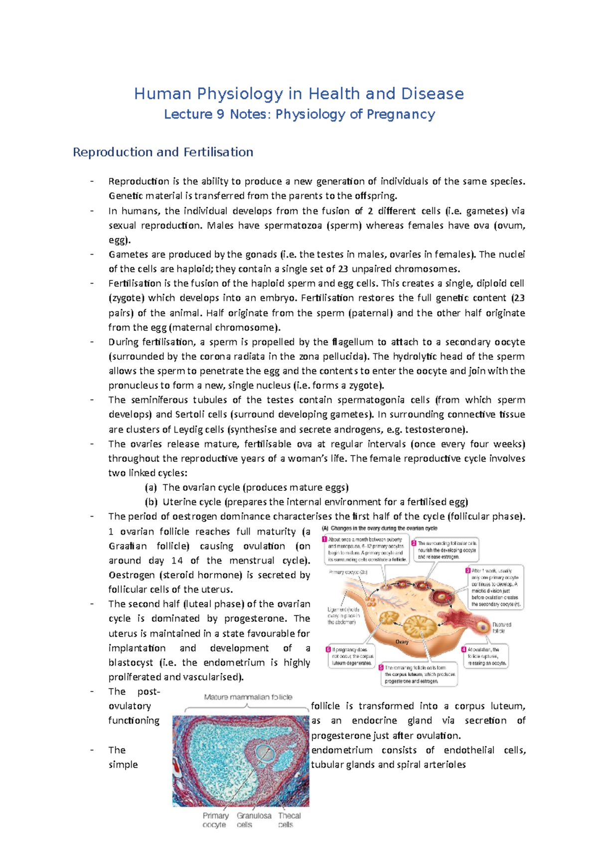 Lecture 9 Notes (Physiology of Pregnancy) - Human Physiology in Health ...