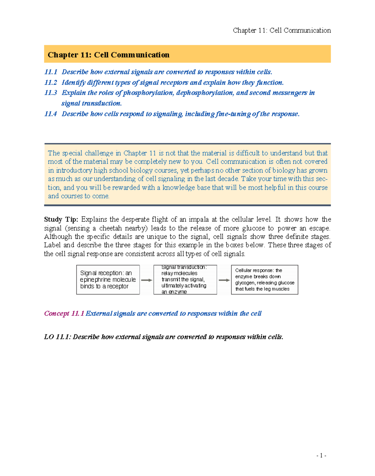 Active Reading Notes 11 - Chapter 11: Cell Communication 11 Describe ...