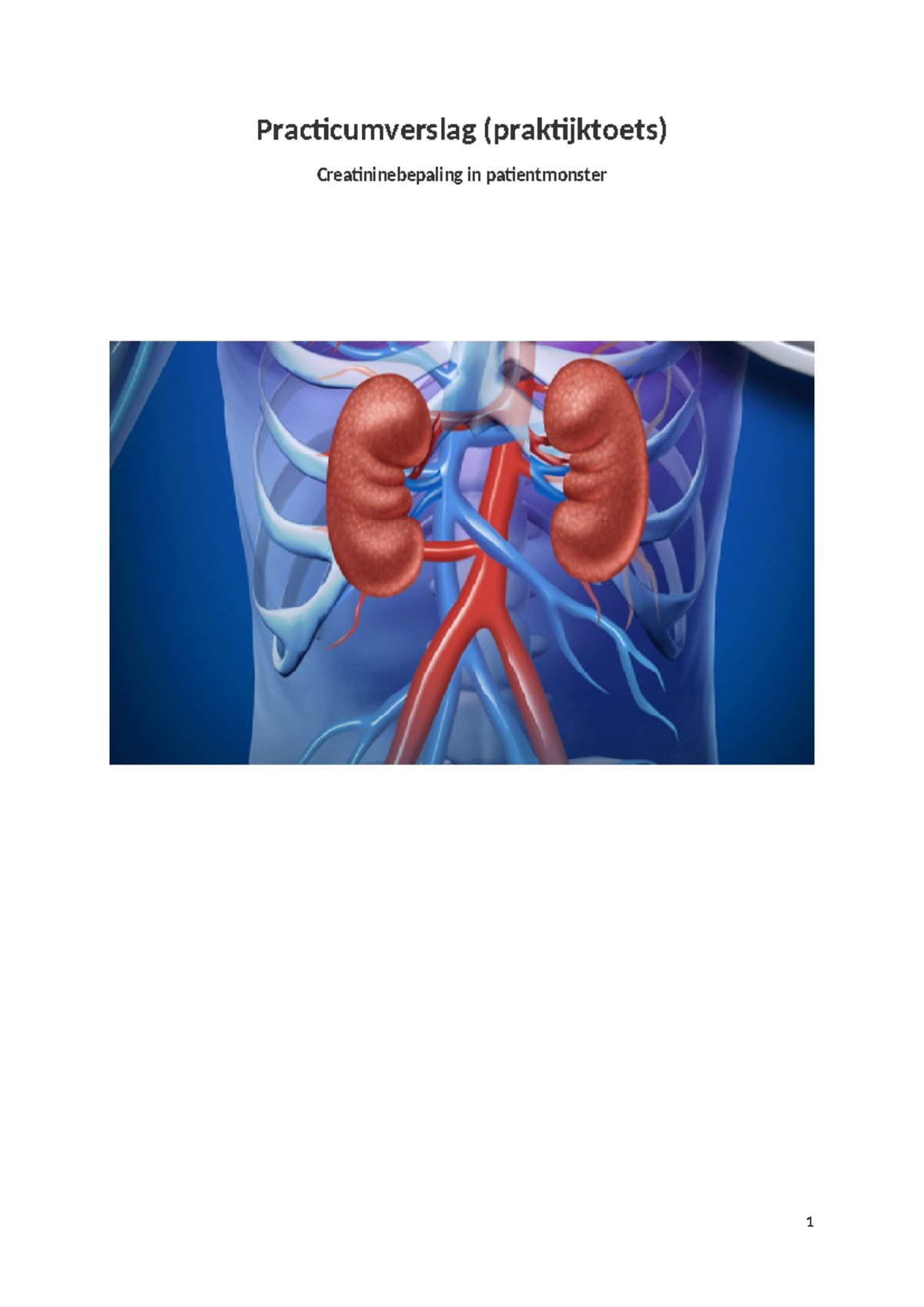 Practicumverslag Creatininebepaling - Practicumverslag (praktijktoets ...