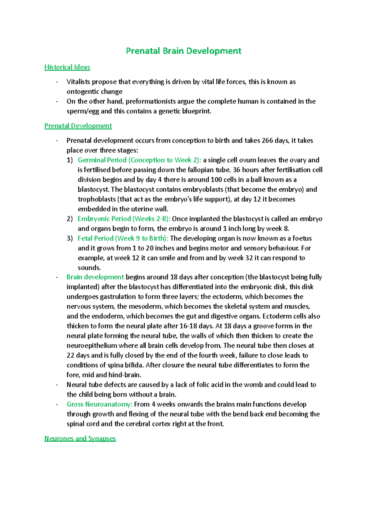 Prenatal Brain Development - Prenatal Development Prenatal development ...