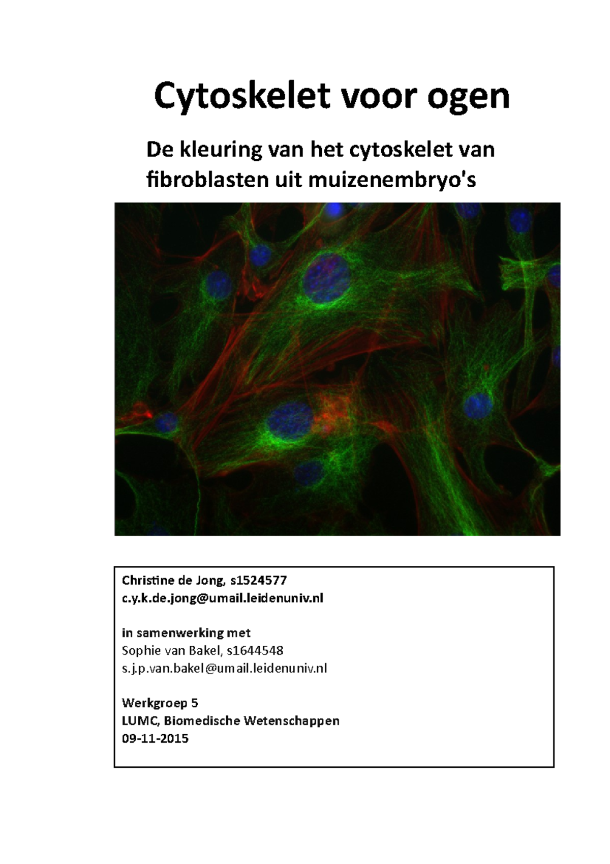 Practicum - Verslag cytoskelet christine - Cytoskelet voor ogen De ...