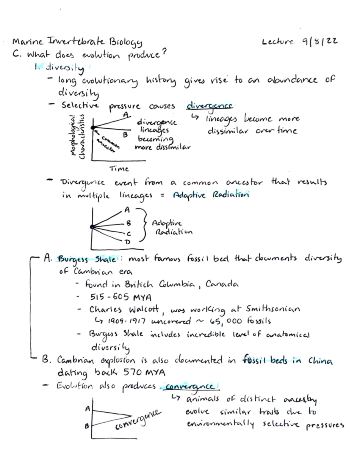 Invert Lecture Notes 9.8.22 - Morphological Characteristics Marine ...