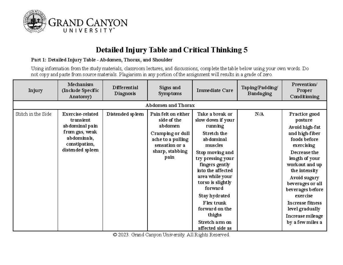 Detailed Injury Table 5 - Do not copy and paste from source materials ...