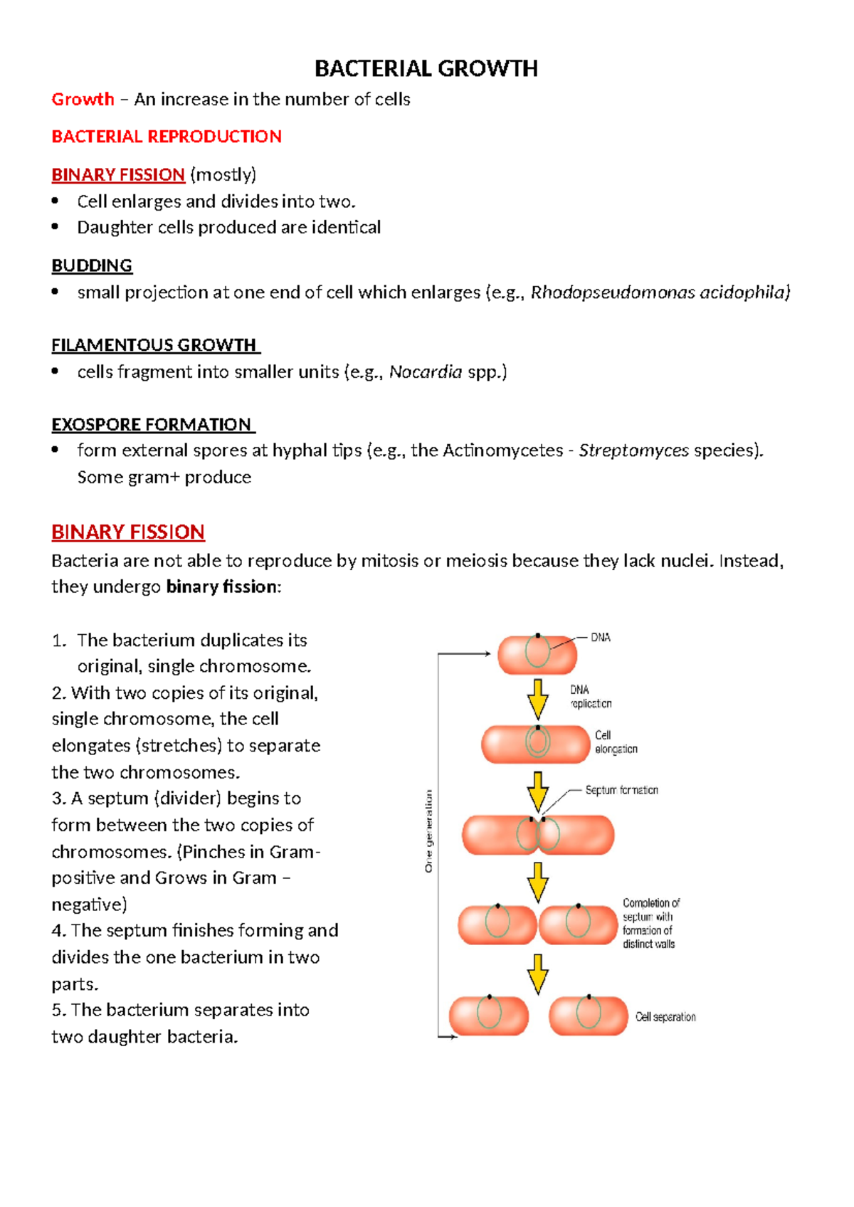Bacterial growth notes - BACTERIAL GROWTH Growth – An increase in the ...