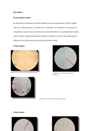 Fluorocell ret safety data sheet english - Sysmex America, Inc. sysmex ...
