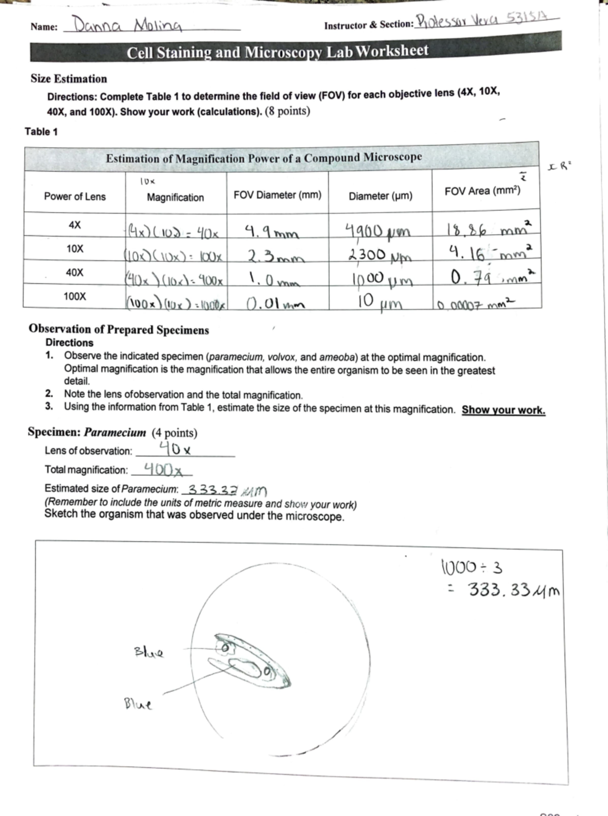 Cell Staining and Microscopy Lab Wrksht - 3\ "> I_ Instructor & - Studocu