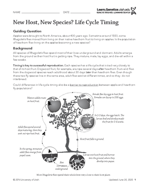 Dichotomous Classification Key Lab - Dichotomous Key to the Animal ...