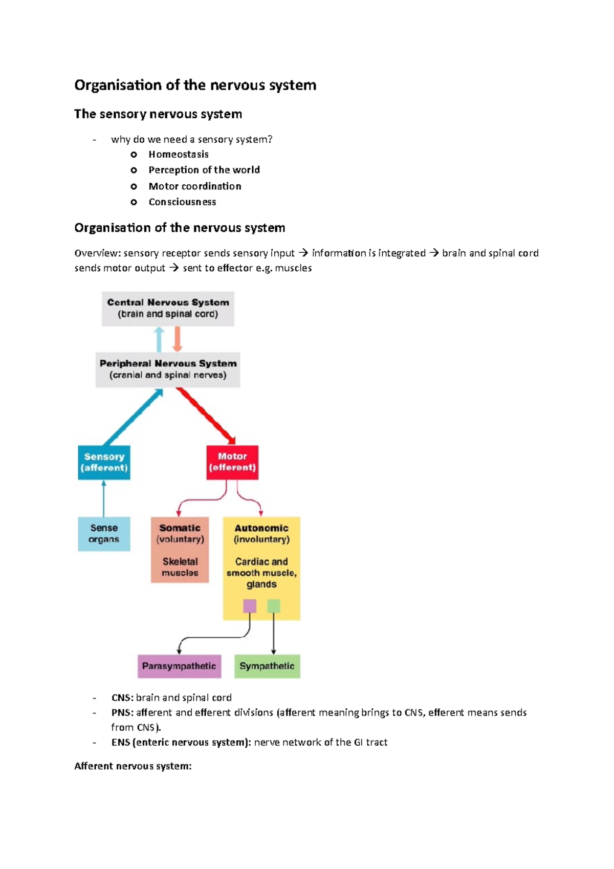 Module 9 - Pt1 - Overview of the Sensory System - Organisation of the ...