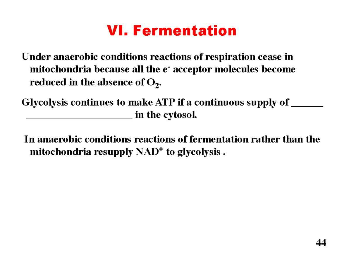Lecture 28 - jorge doug - VI. Fermentation 44 Under anaerobic ...