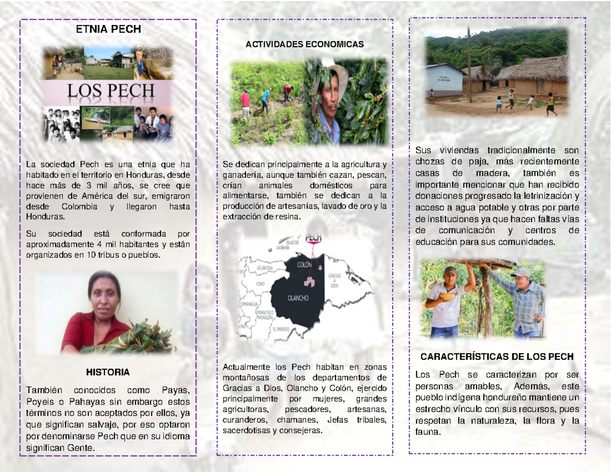 Trifolio Tribu PECH - Hola - ETNIA PECH La sociedad Pech es una etnia que ha habitado en el ...