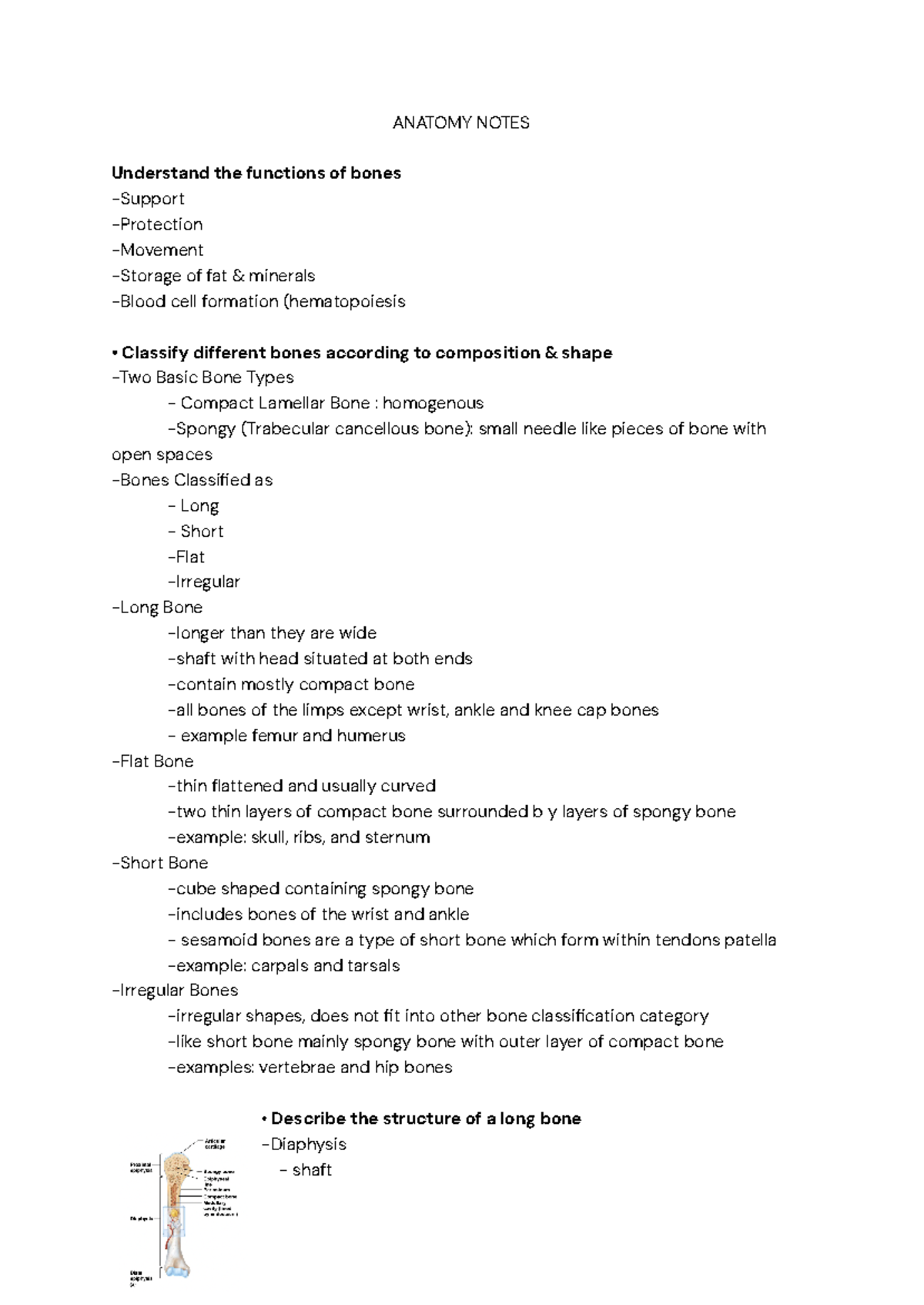 Skeletal & Muscular System - ANATOMY NOTES Understand the functions of ...