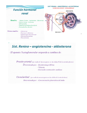 Surviving-Sepsis-Guideline-Infographic-Spanish-Translations ...