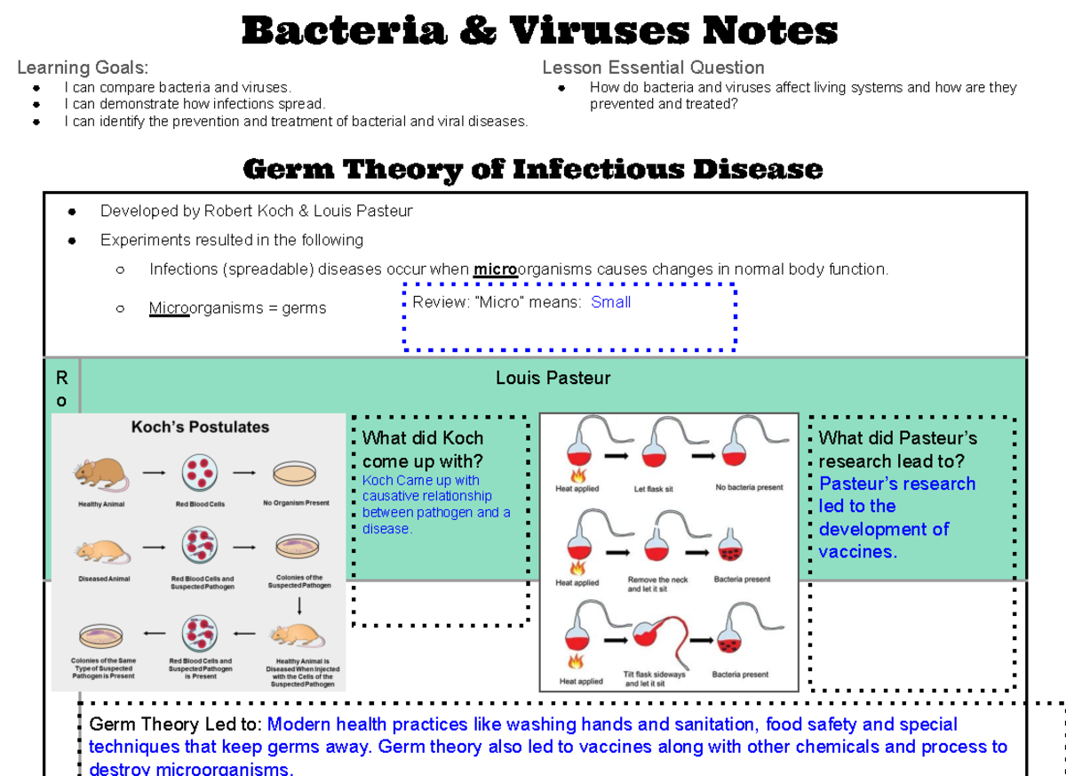 Safia David-Hoover - Notes Bacteria Viruses - 4970868 - Bacteria ...