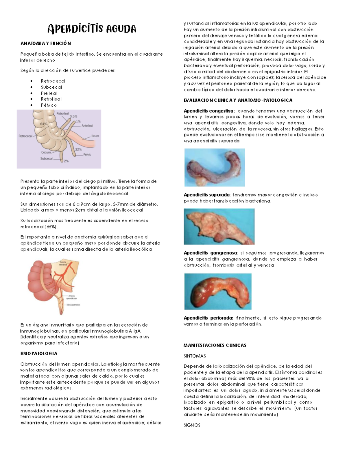 Apunte de apendice - Apendicitis aguda ANATOMIA Y FUNCIÓN Pequeña bolsa ...