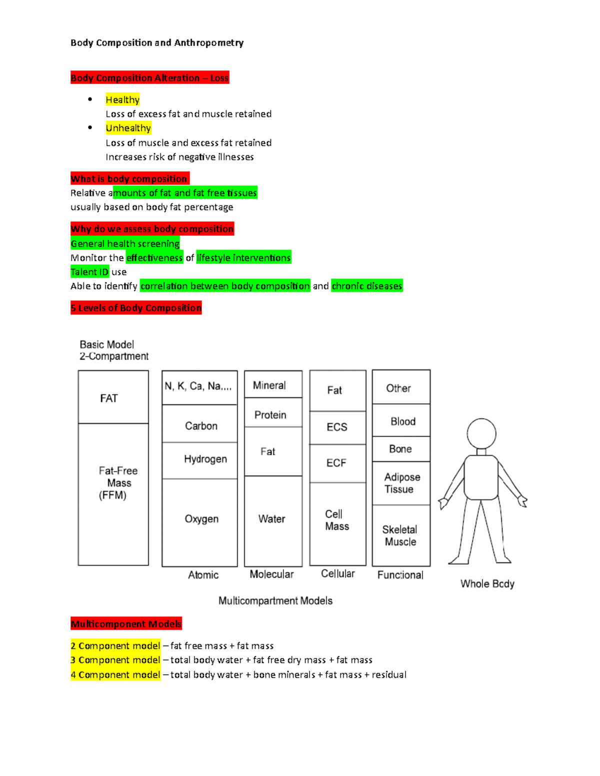 Body Composition and Anthropometry - Studocu