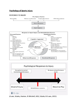 Sport Confidence - 3 - Sport Confidence 3 Vealey’s Approach Outline ...