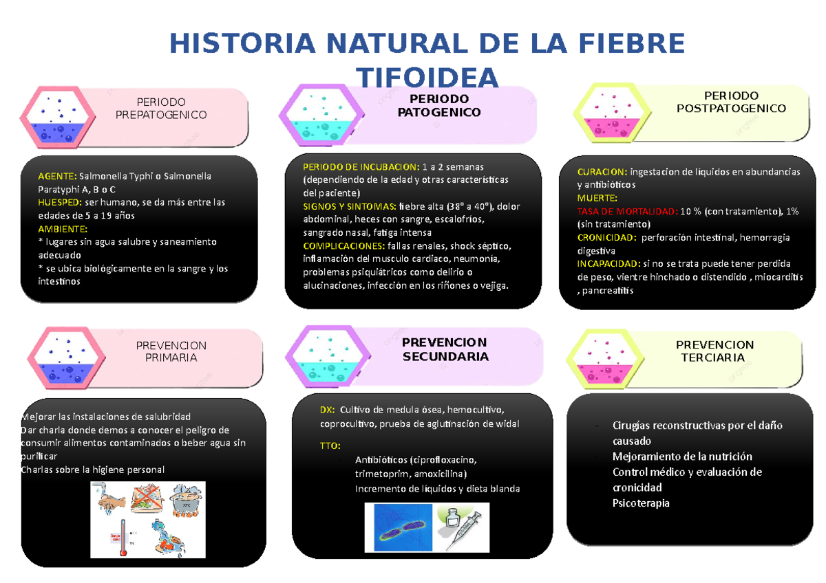 Fiebre Tifoidea Exposicion - PERIODO PREPATOGENICO PERIODO PATOGENICO ...