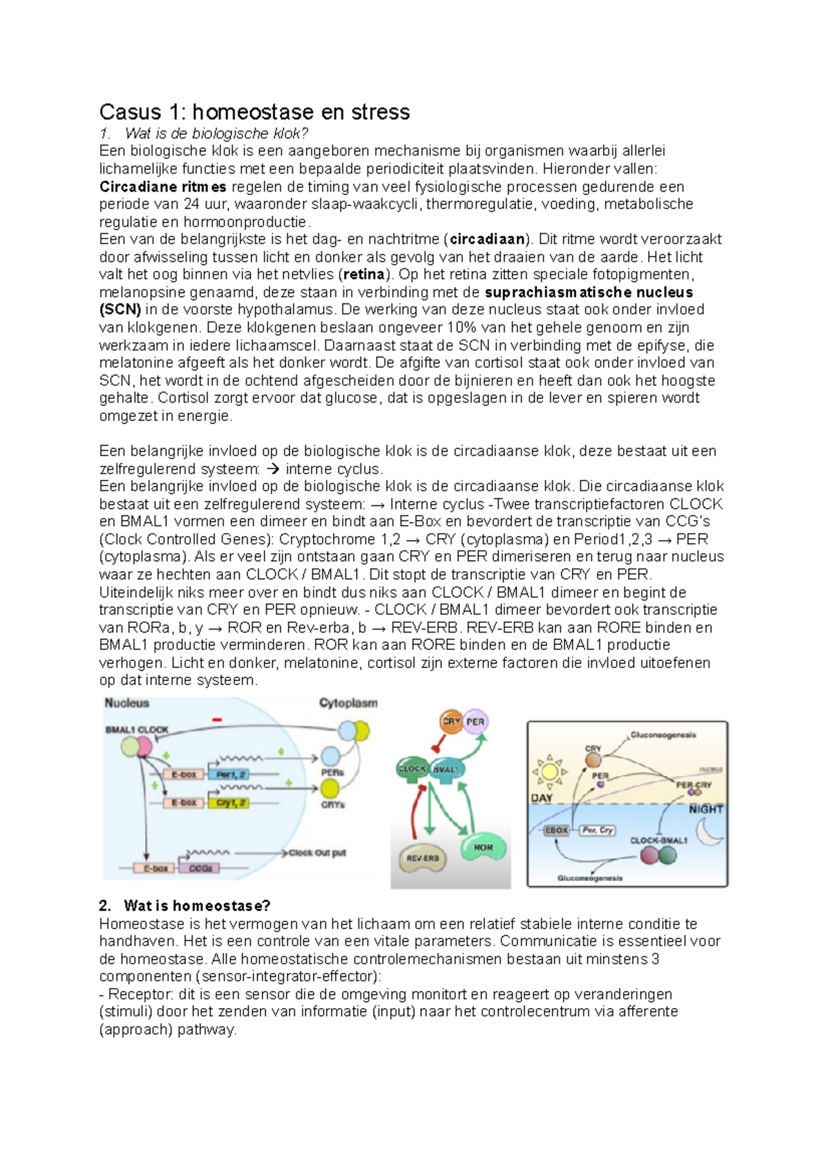 Gen 1104 Regulatie En Integratie Casus 1 Casus 1 Homeostase En