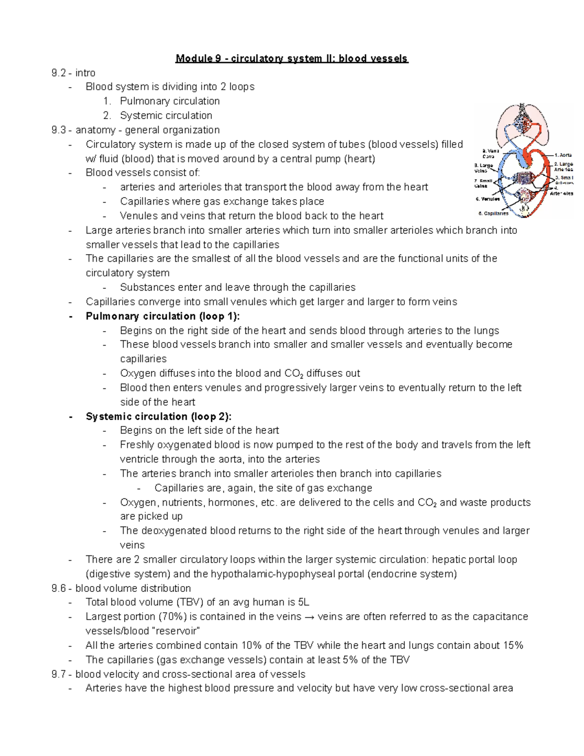 Module 9 - circulatory system II blood vessels - Module 9 - circulatory ...