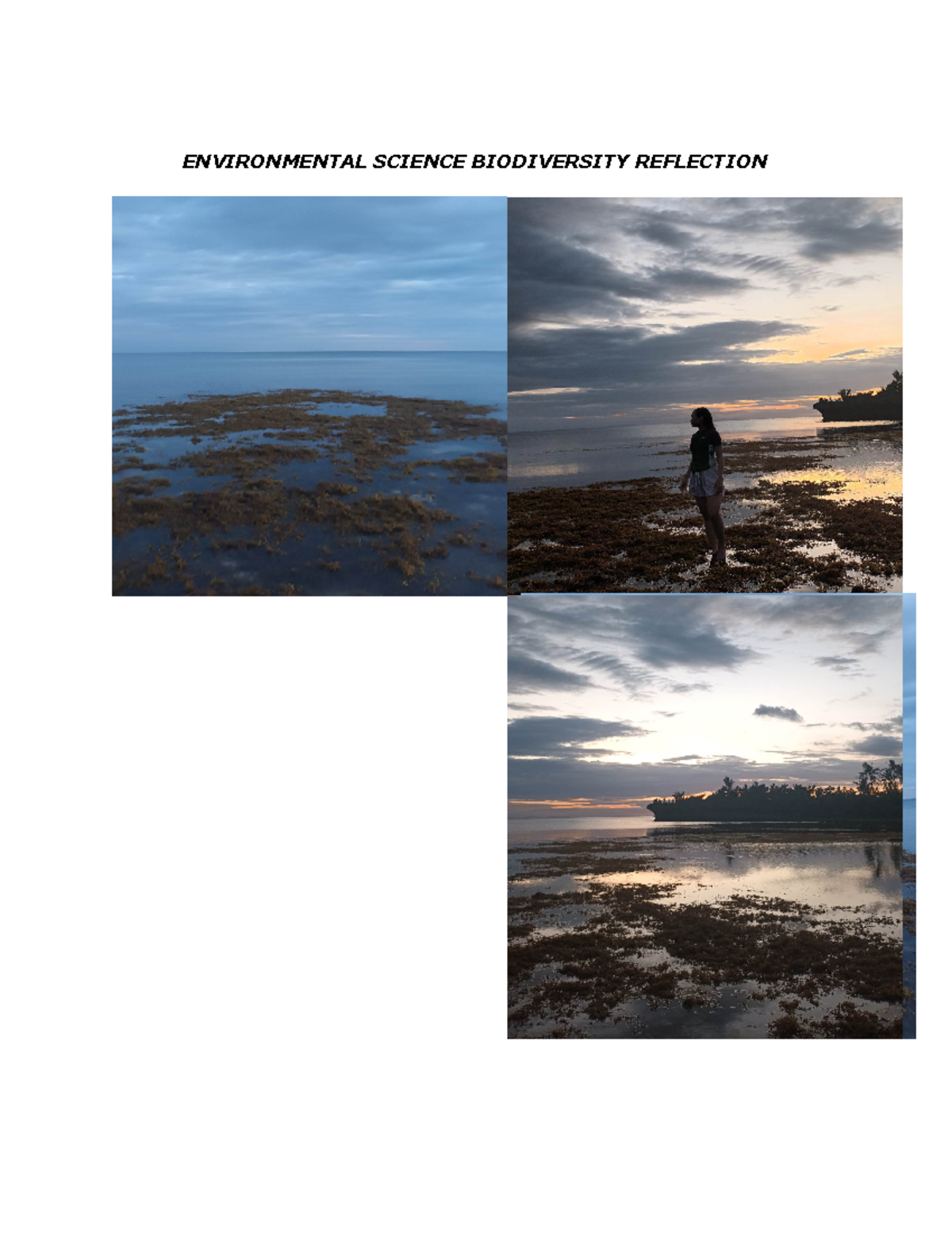 Biodiversity Reflection - ENVIRONMENTAL SCIENCE BIODIVERSITY REFLECTION ...