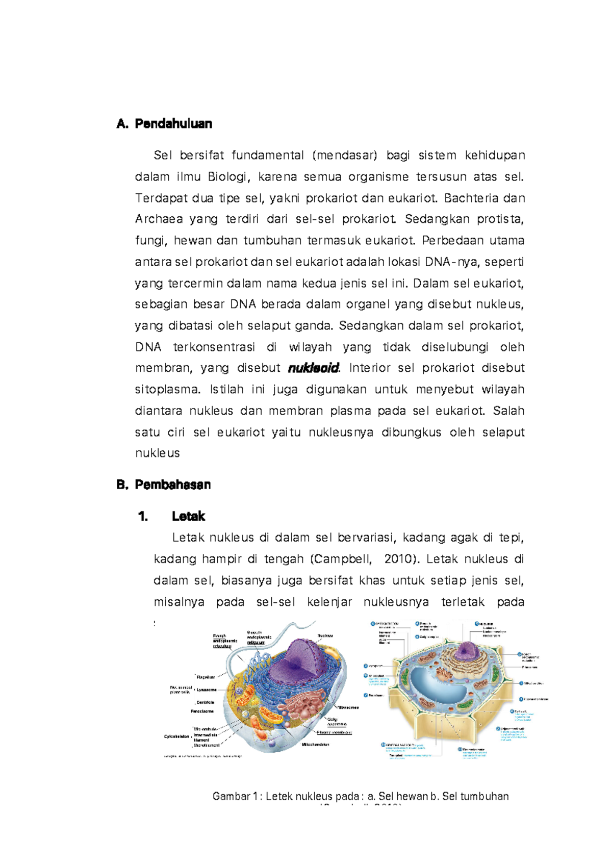 Nukleus dan nukleolus paper - 1 A. Pendahuluan Sel bersifat fundamental ...