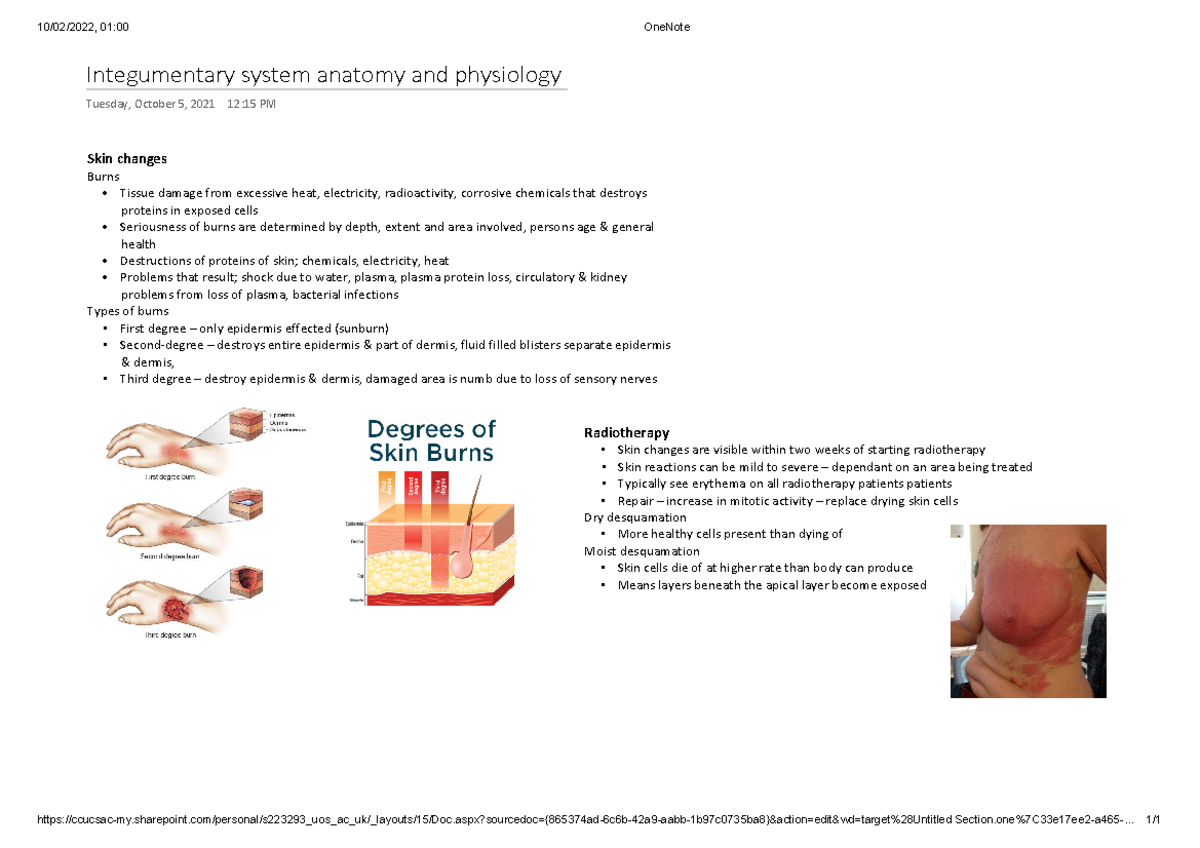Integumentary (Anatomy & Physiology) Part 2/2 - 10/02/2022, 01:00 ...