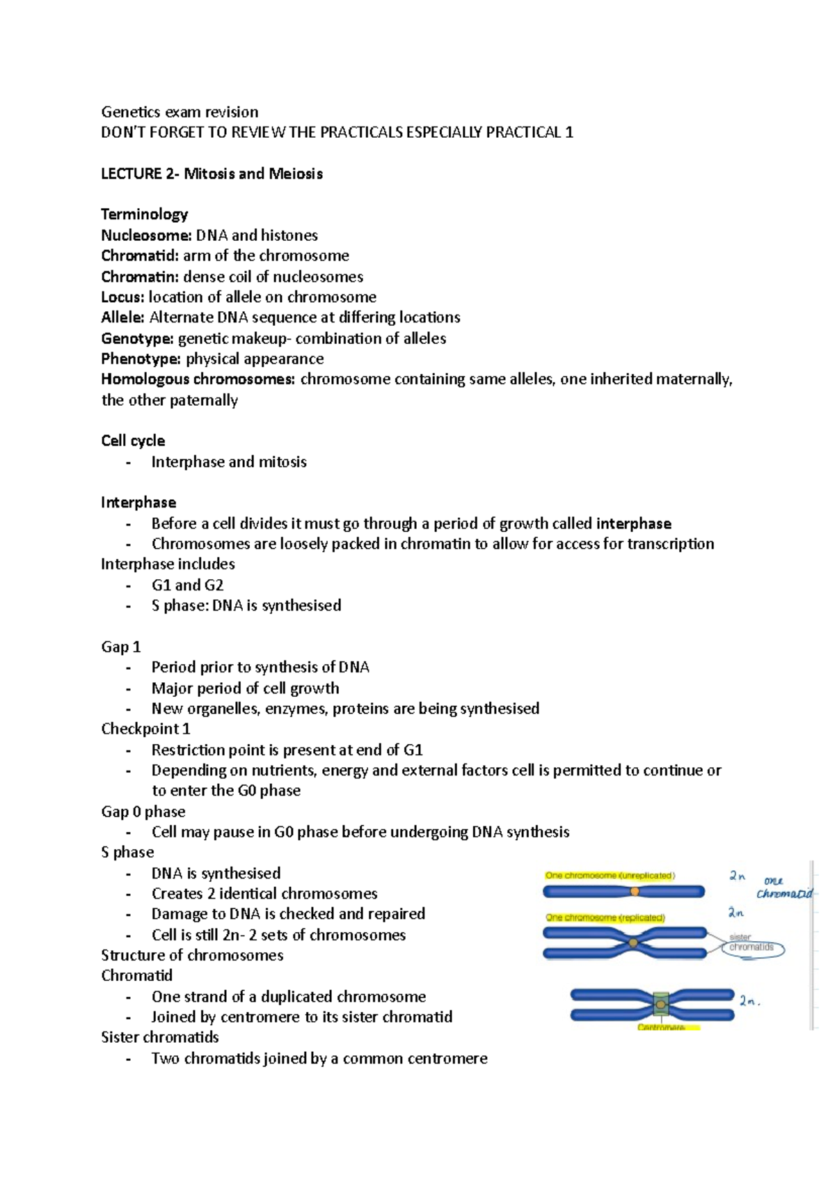 Genetics Exam Revision Genetics Exam Revision Dont Forget To Review The Practicals Especially