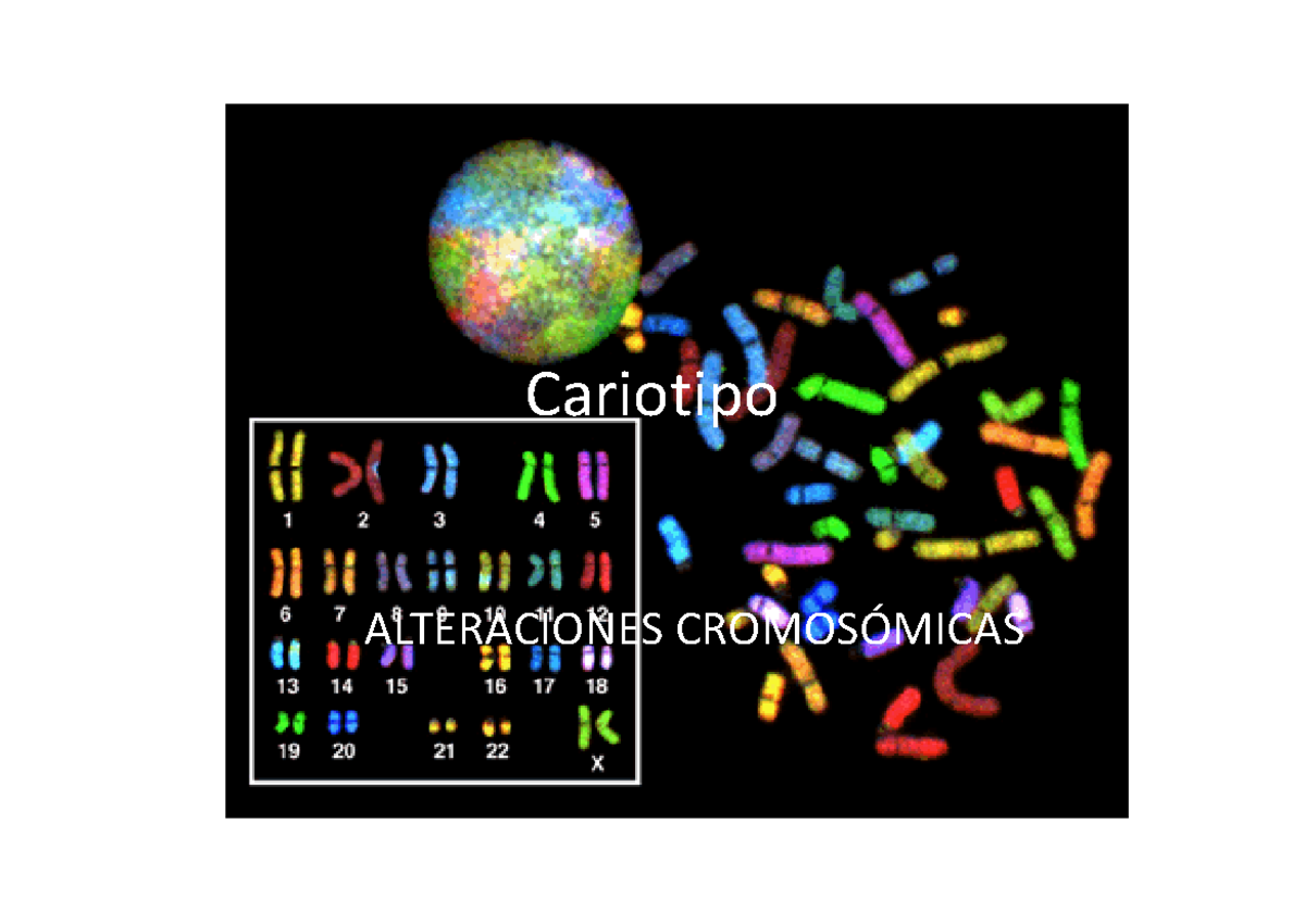 Alteracionescromosomicas 8552 - Cariotipo ALTERACIONES CROMOSÓMICAS ...