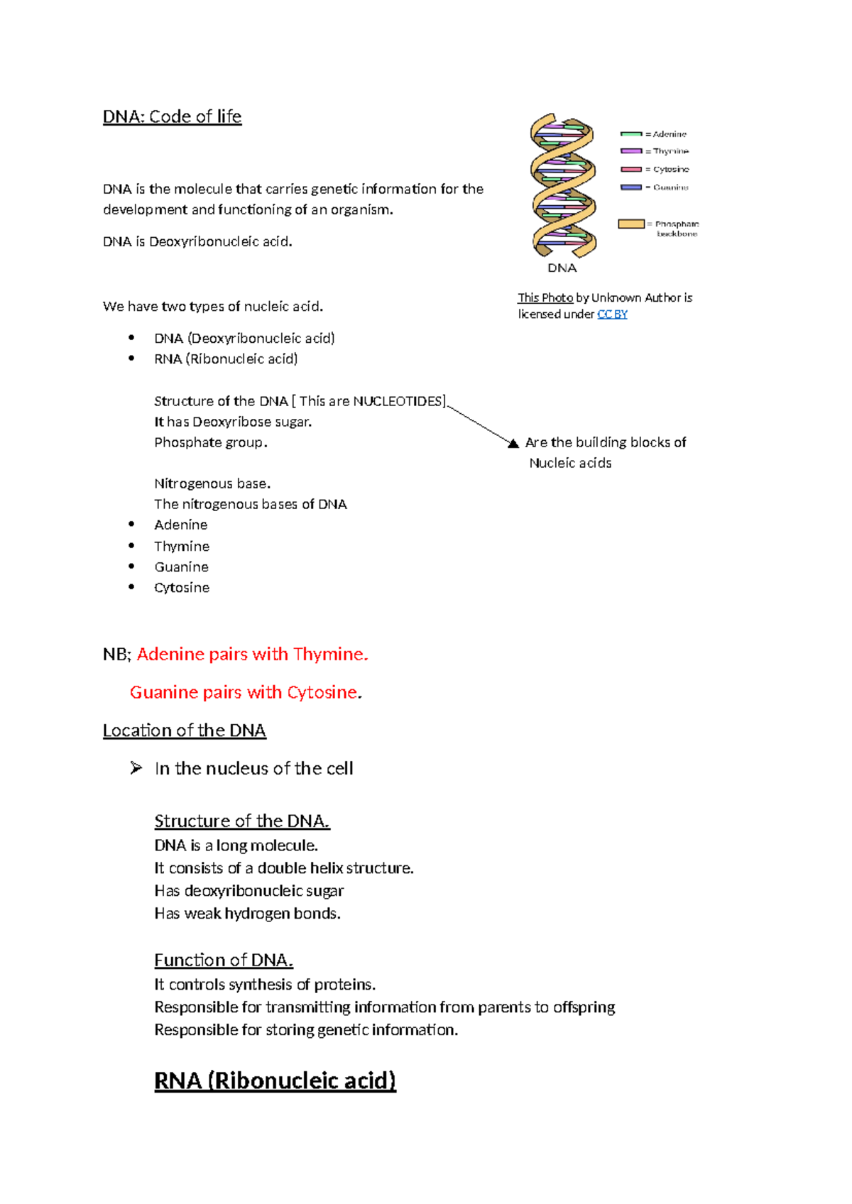 DNA notes - Summary Natural Sciences I - DNA: Code of life DNA is the ...