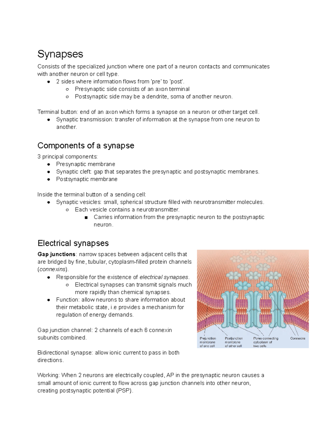 Synapses and neurotransmitters - Synapses Consists of the specialized ...