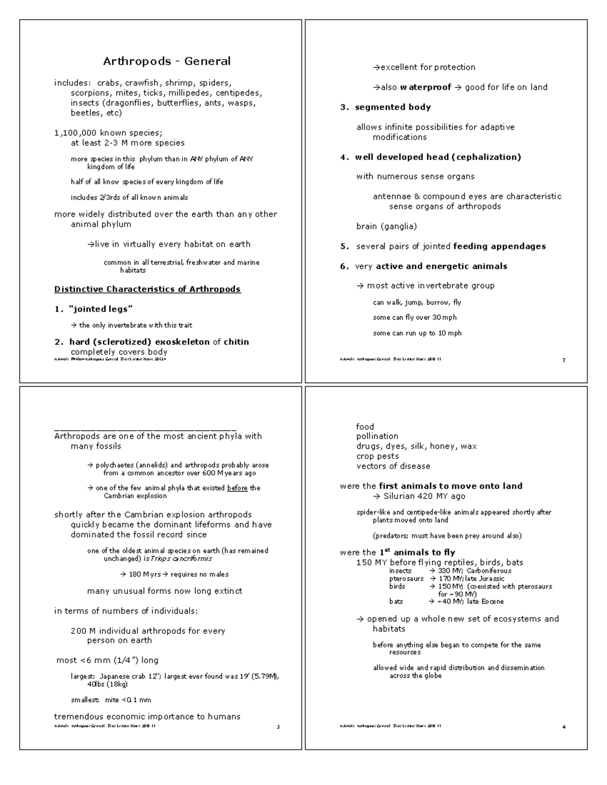 Arthropoda - general - Phylum Notes - Animals: Phylum Arthropoda ...