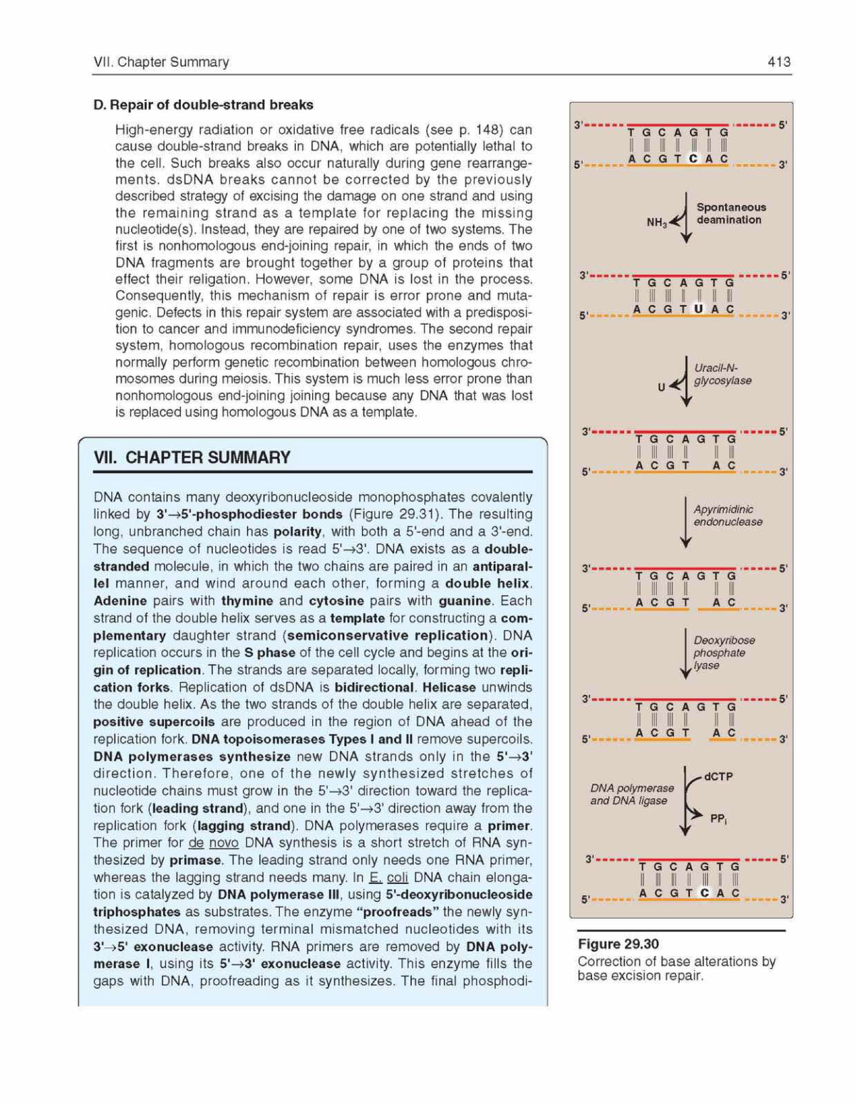Nucleic acid lippincott - Clinical biochemistry - Studocu