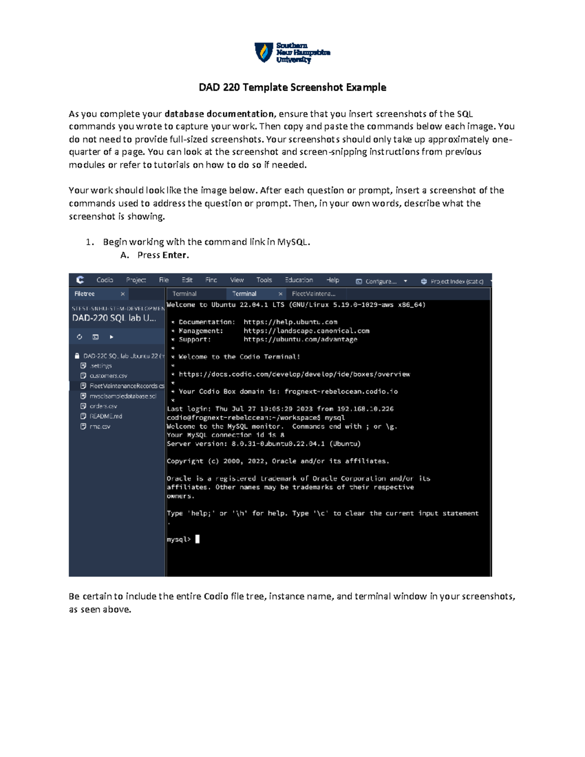 DAD 220 Week one Lab A - first lab - DAD 220 Template Screenshot ...