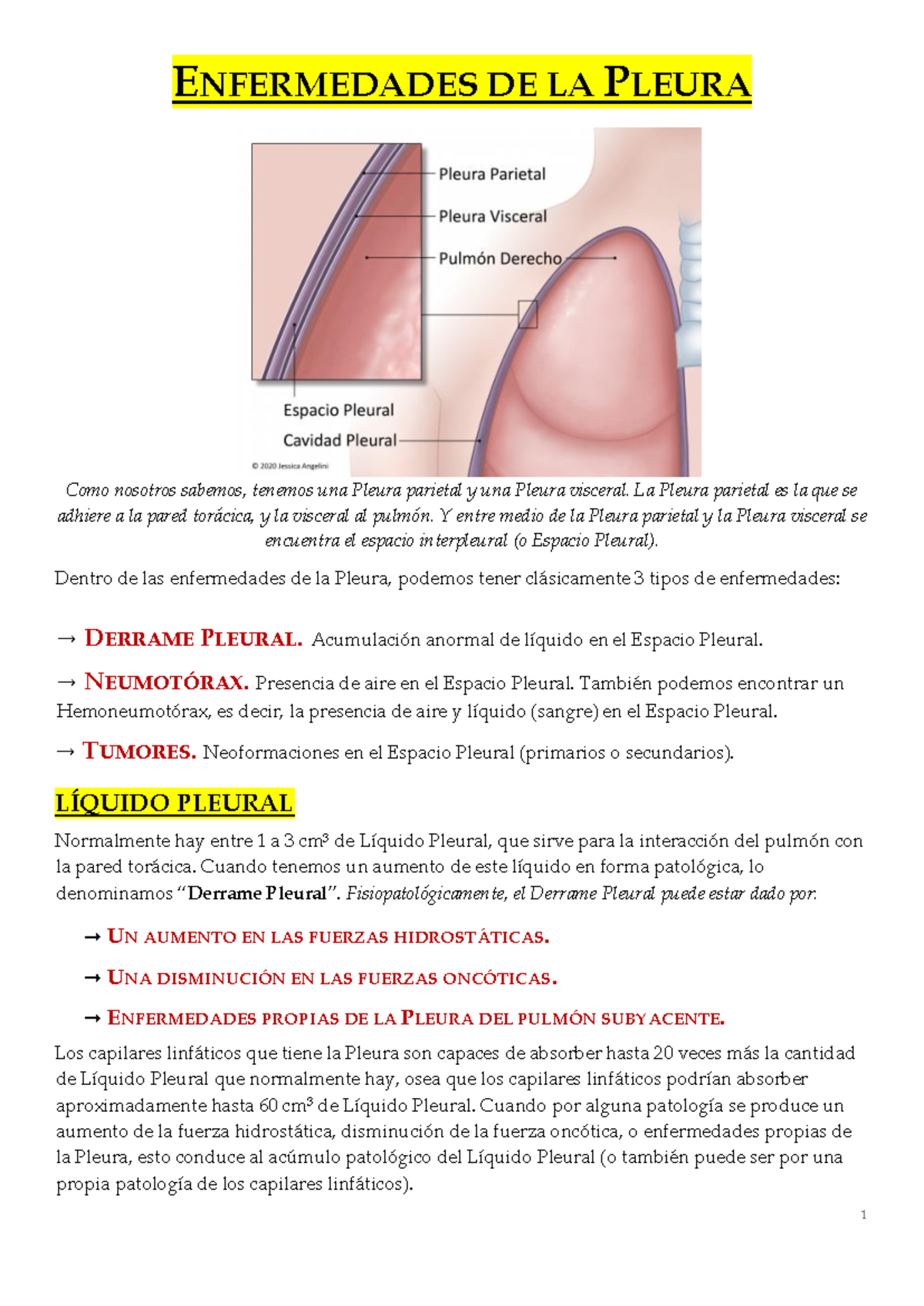 01 - Enfermedades DE LA Pleura - Derrame Pleural - NeumotóRAX - Mesotelioma - ENFERMEDADES DE LA ...
