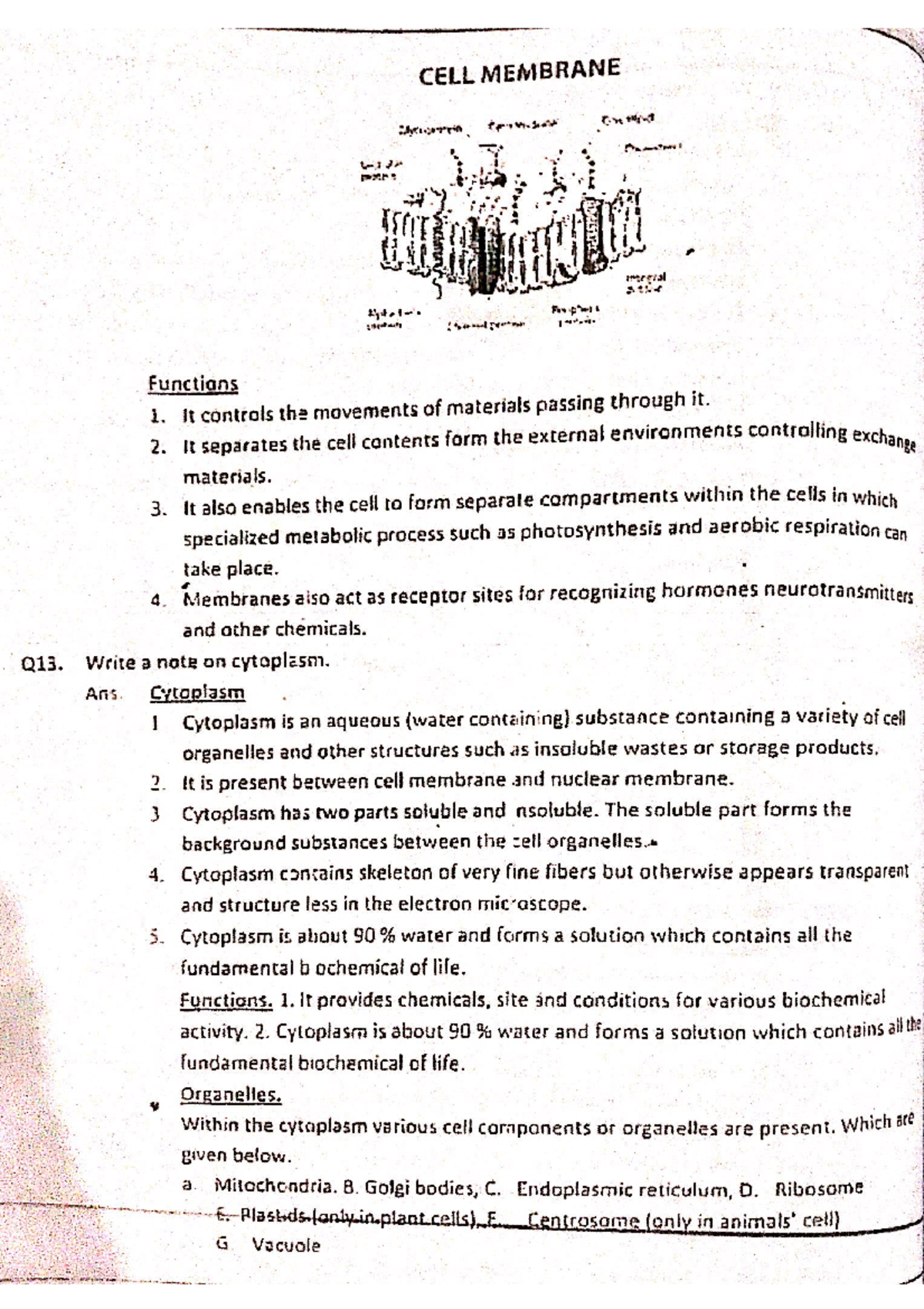 cell membrane and function of cytoplasm - Biology - Studocu