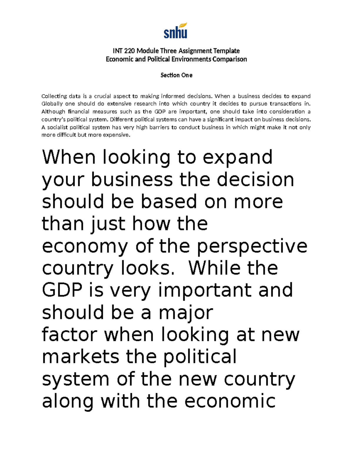 INT 220 Module Three Assignment - When a business decides to expand ...