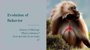 Evolution of Social Behavior 10 04 - Evolution of Social Behavior ANT ...