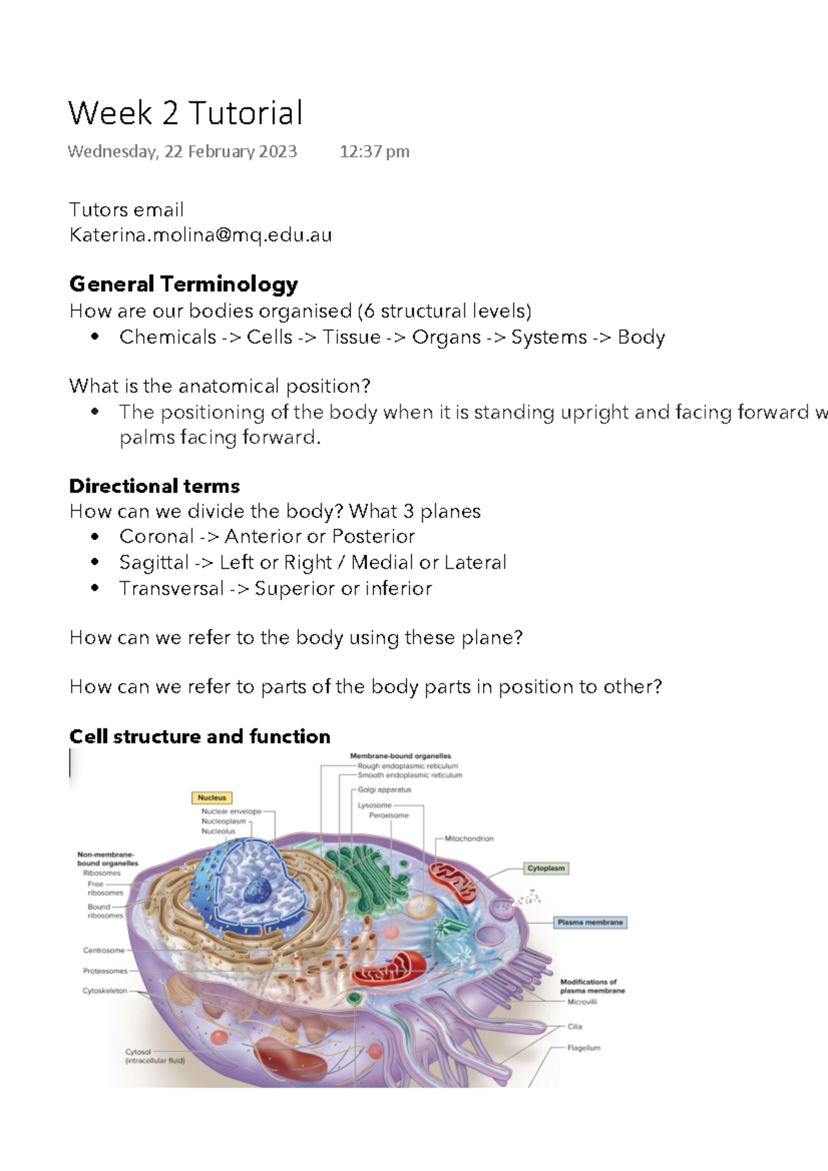 Week 2 Tutorial - Terminology and orientation, cell biology and ...