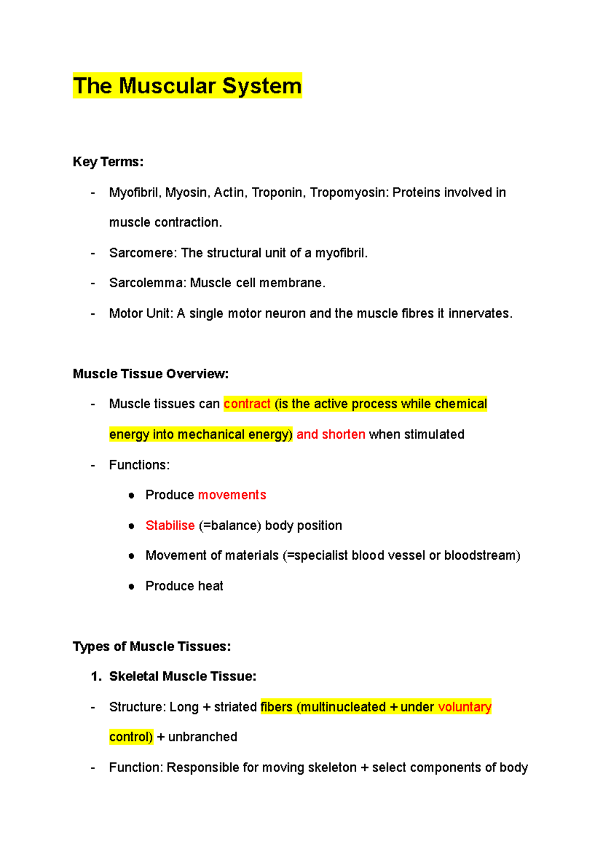 Module 6 - Notes in class - The Muscular System Key Terms: - Myofibril ...