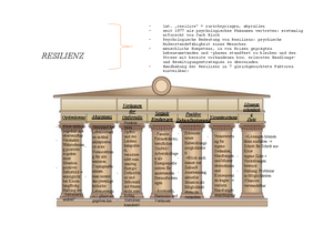 Ressourcenerhaltungsmodell - Handout Ressourcenerhaltungsmodell Von Dr ...