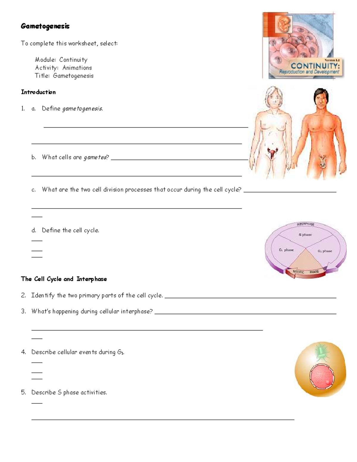 Anim gametogenesis worksheet - Gametogenesis To complete this worksheet, select: Module ...