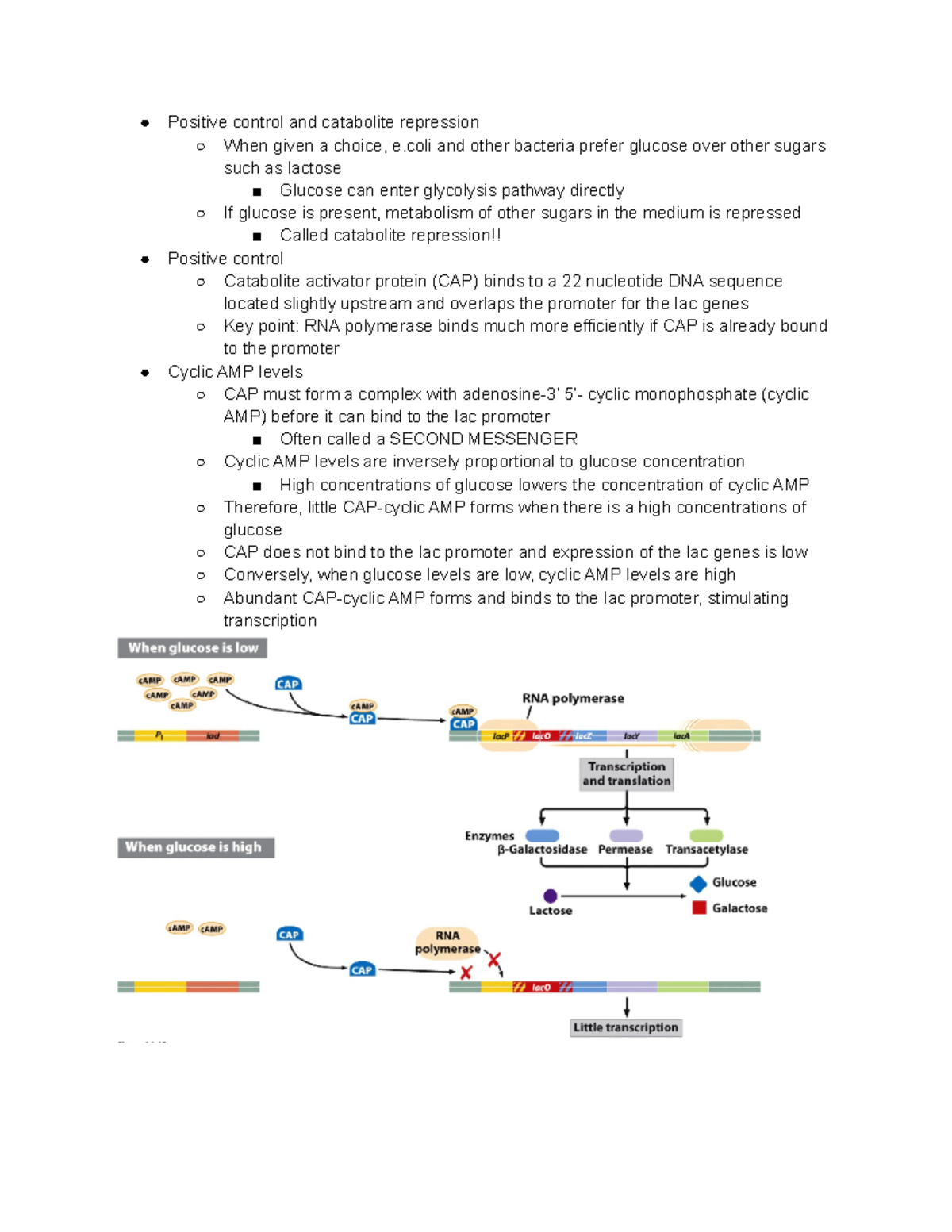 Genetics Chapter 16 Part 8 Deprecated Api Usage The Svg Back End Is No Longer Maintained And