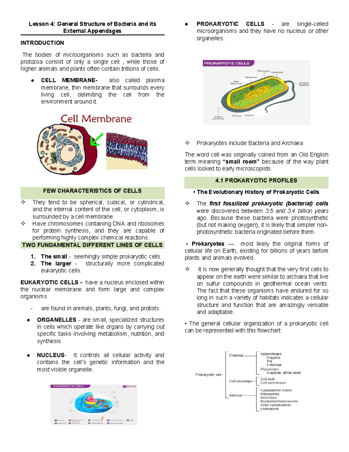 Lesson 4 General Structure of Bacteria and its External Appendages ...