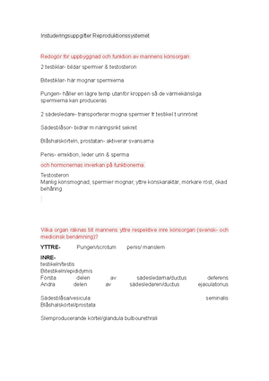 Urinsystemet - NJURARNA BEGREPP DELAR Njure - Ren Urinledare - Ureter ...