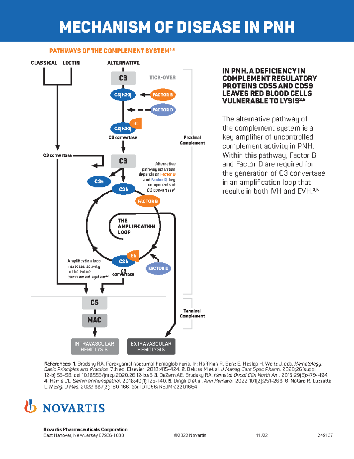 PNH HCP Disease Awareness - MECHANISM OF DISEASE IN PNH PATHWAYS OF THE ...