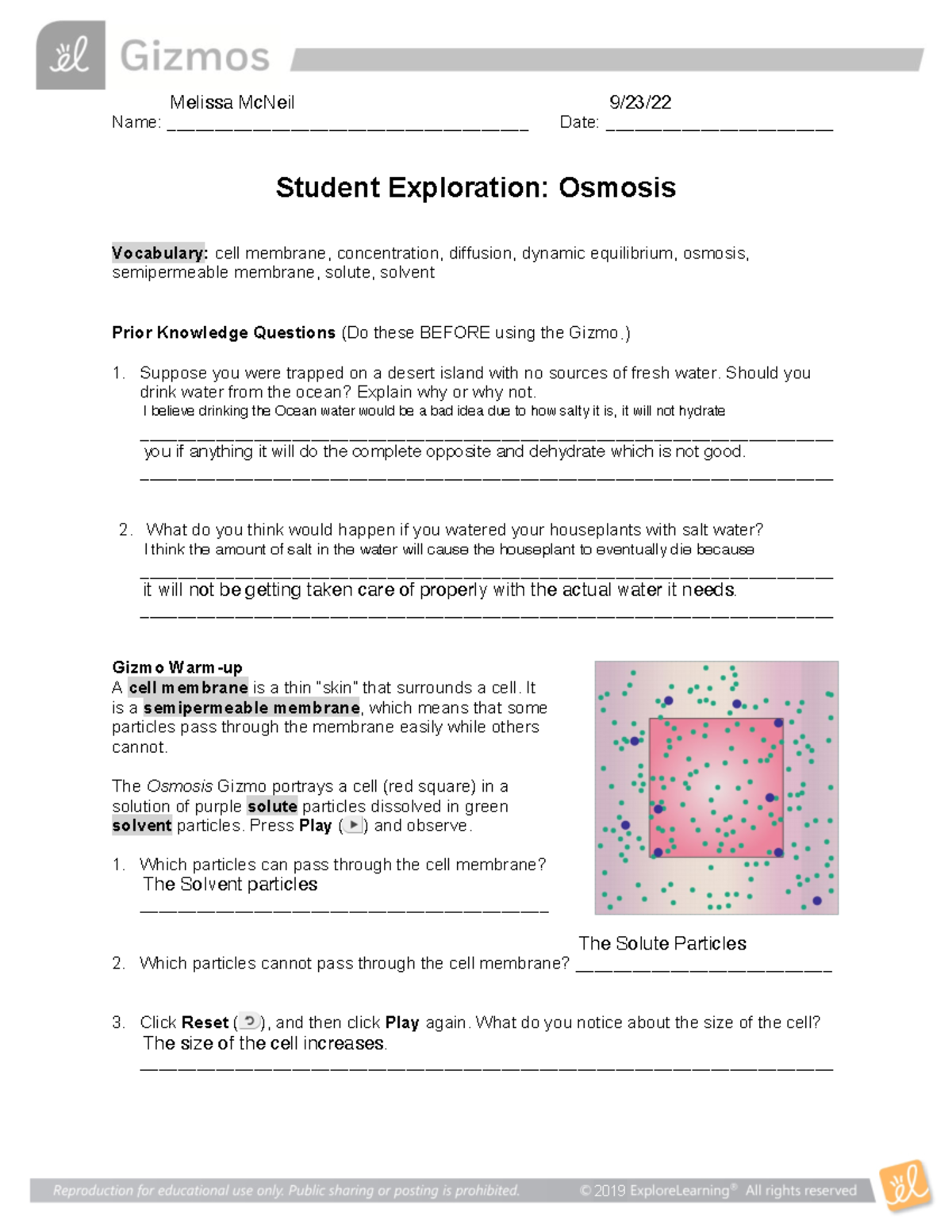 Osmosis SE 1 - BIO lab answers - Name ...