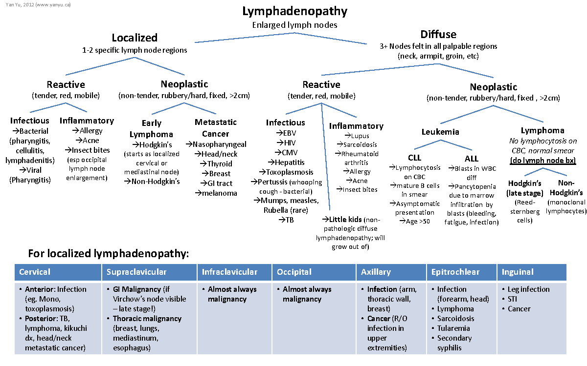 Lymphadenopathy - Lymphadenopathy Enlarged lymph nodes Diffuse 3+ Nodes ...