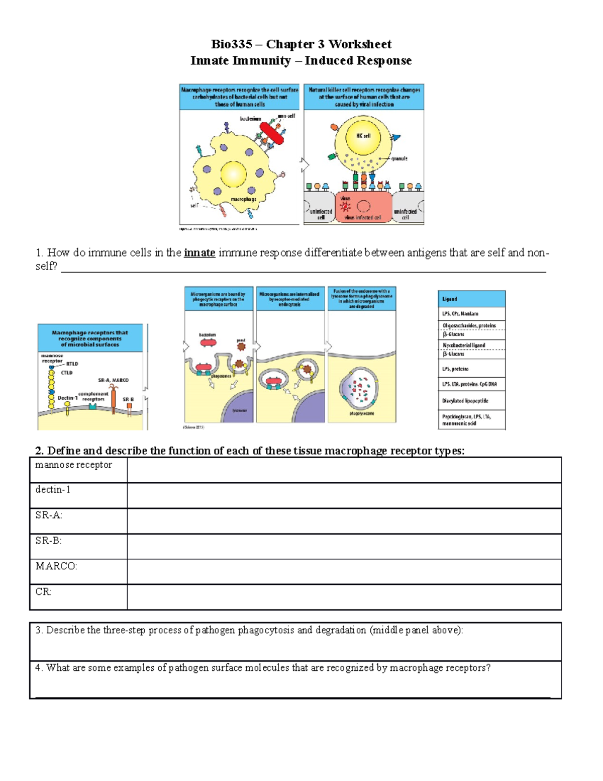 Bio335 Chapter 3 Homework Worksheet - Innate Induced Response - Bio335 ...